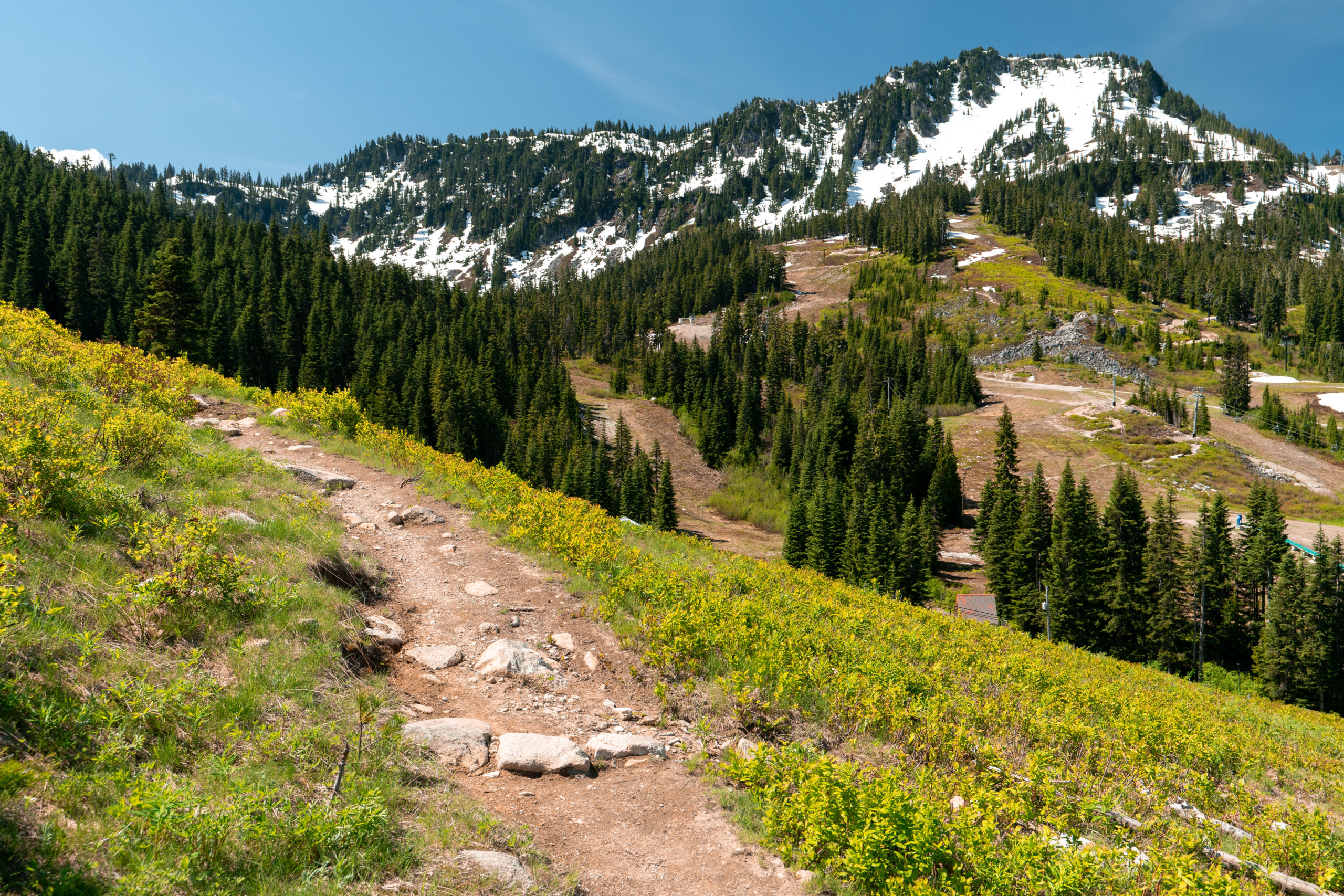 Hike The PCT – Pure PNW Blog