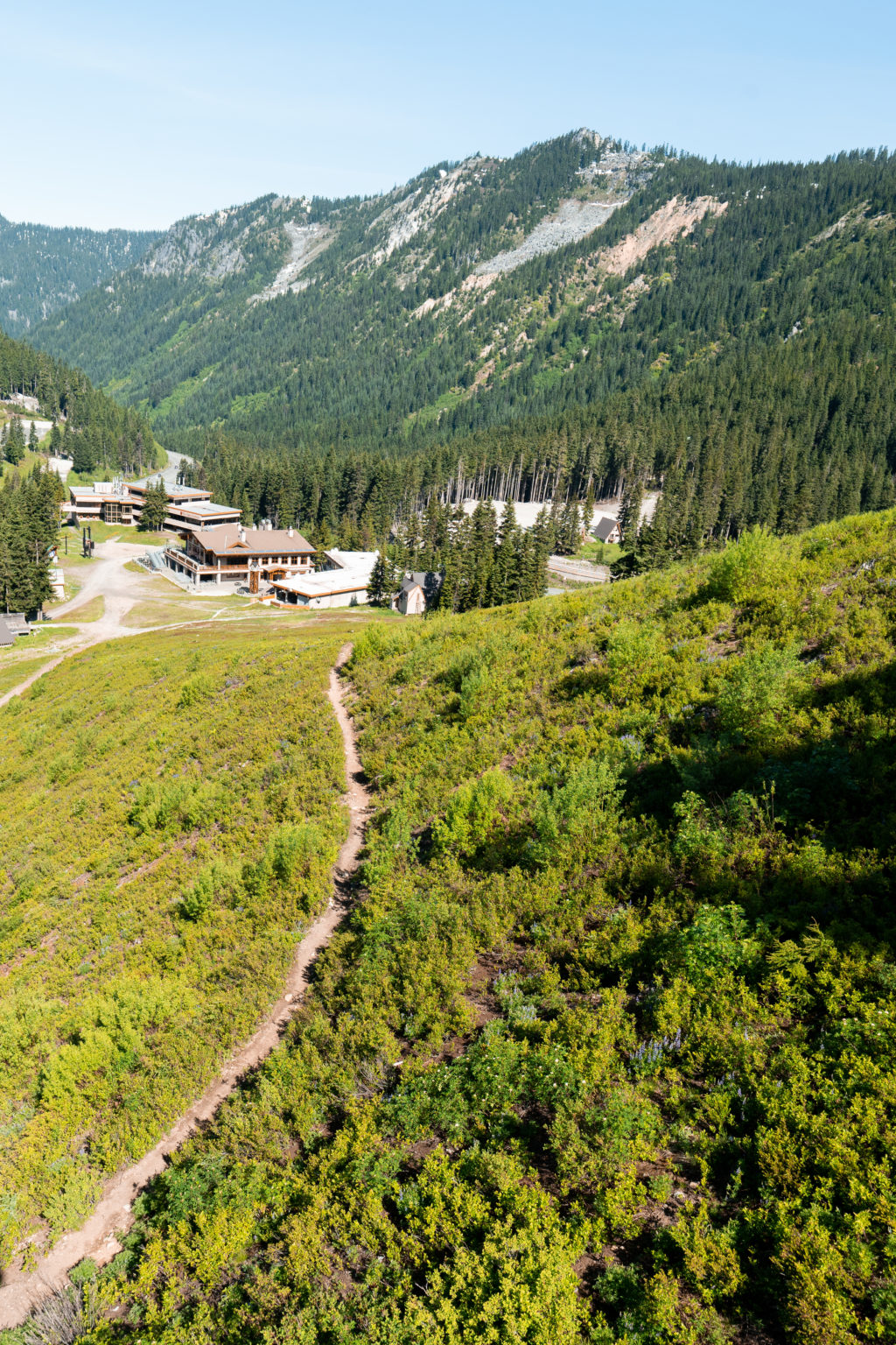 Hike The PCT – Pure PNW Blog