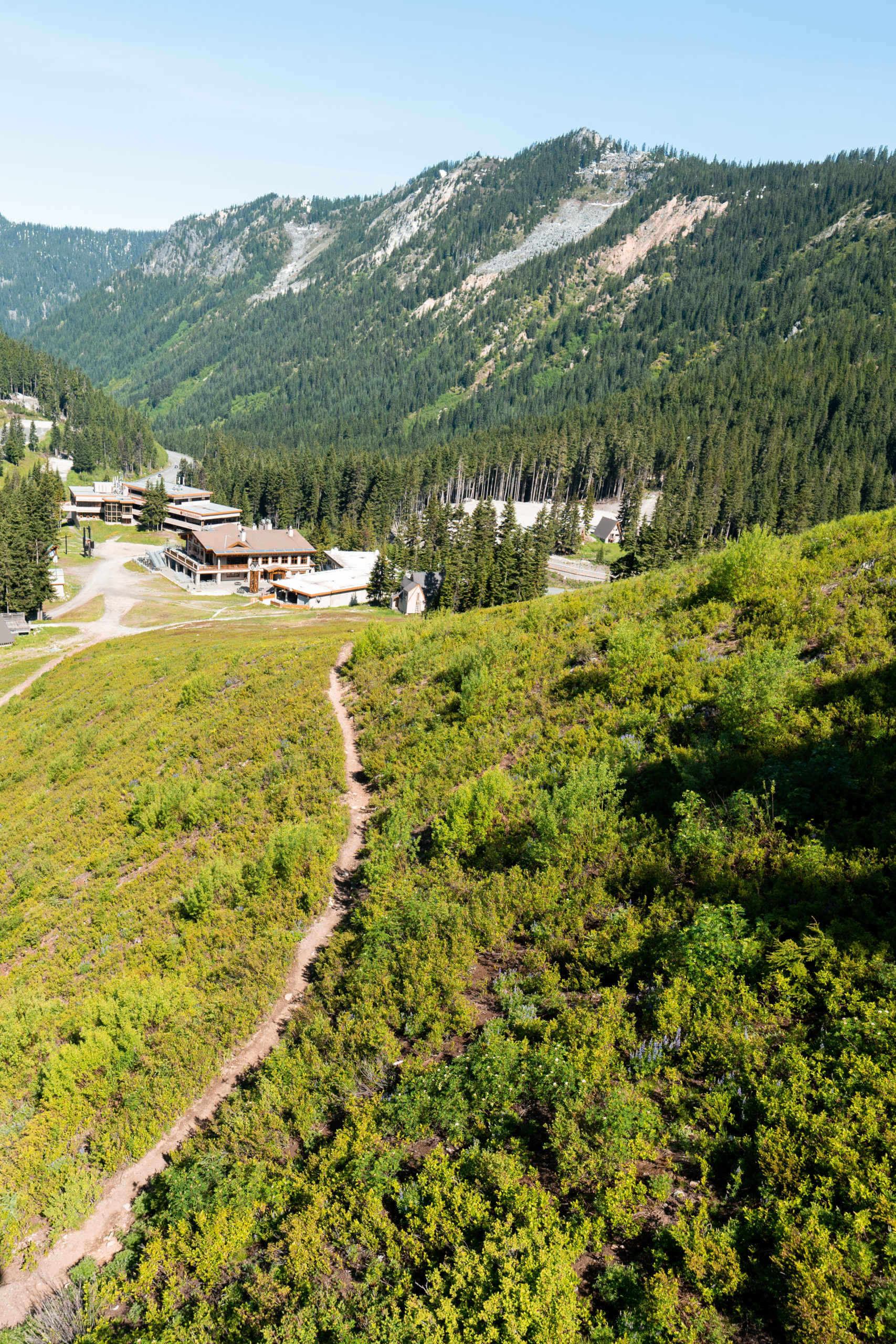 Hike The PCT – Pure PNW Blog