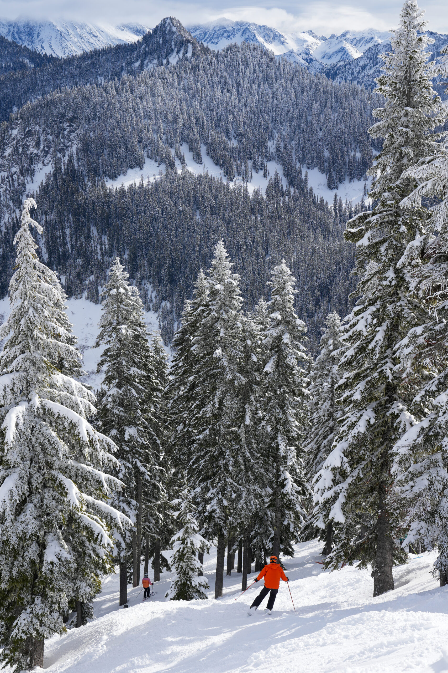STEVENS PASS UPDATE (2/15/24) – Pure PNW Blog
